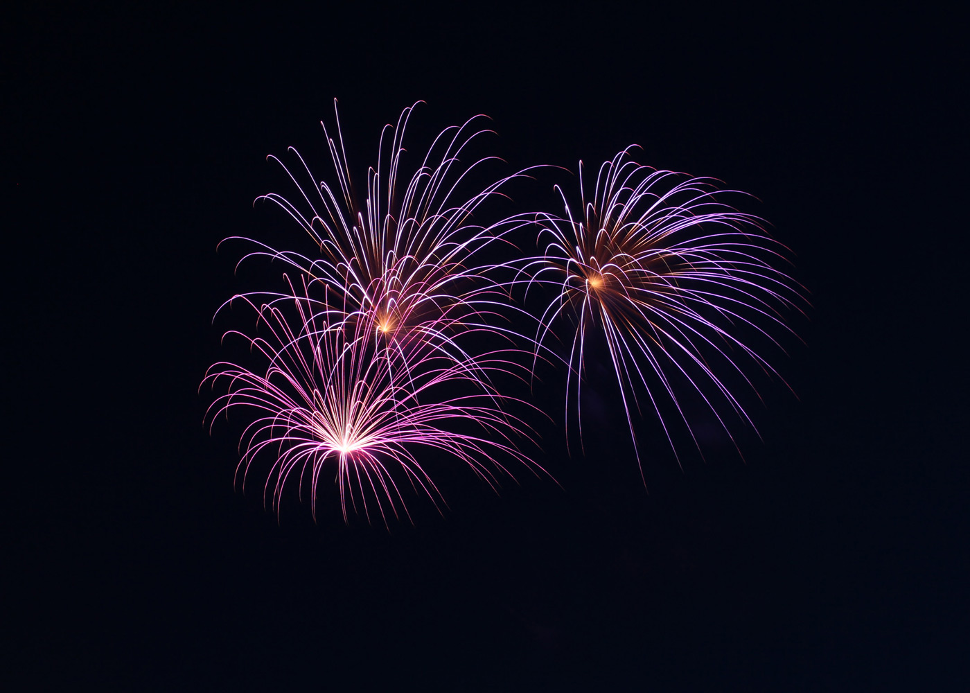 Bildergalerie | Feuerbändiger Feuerwerke