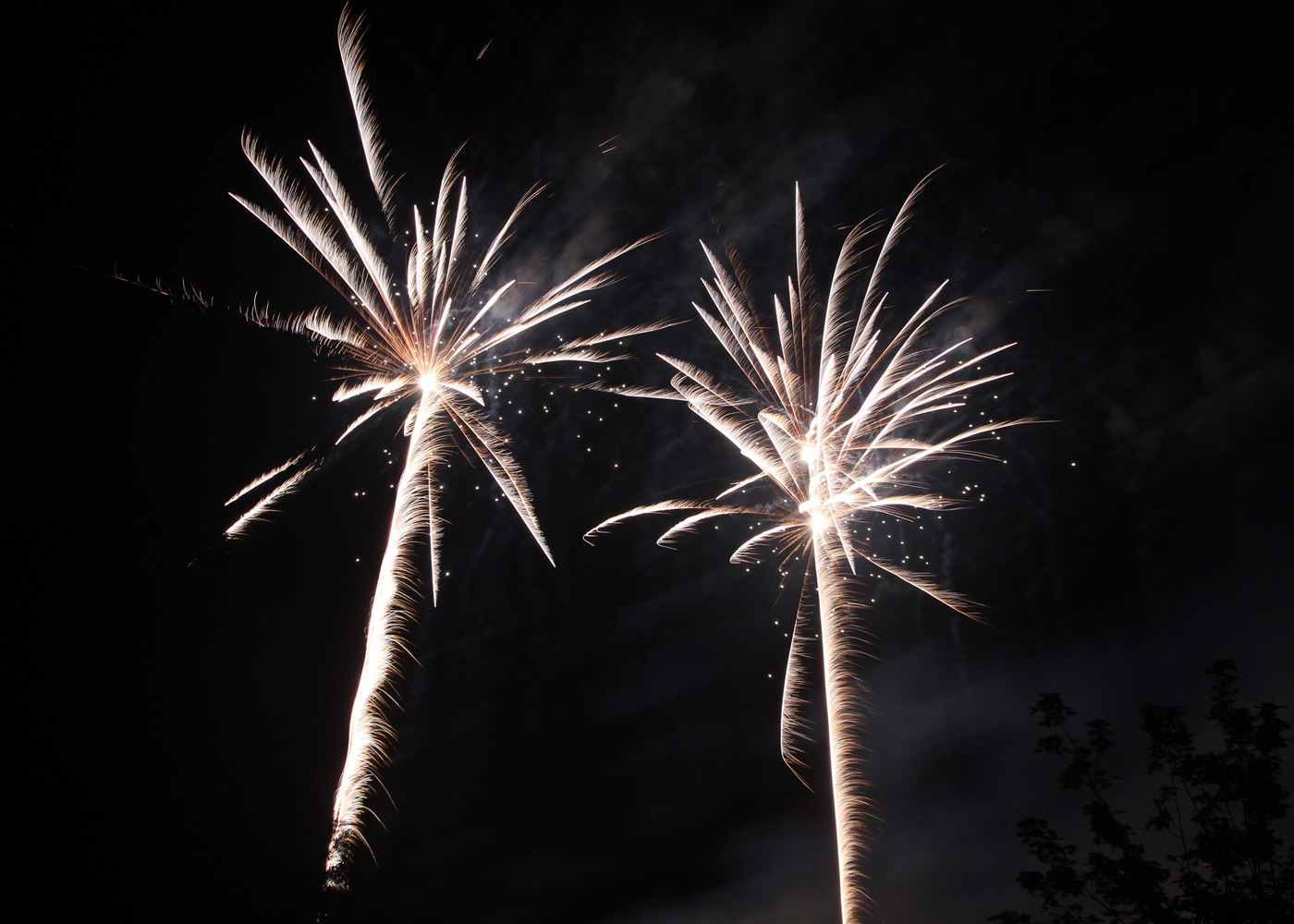 Bildergalerie | Feuerbändiger Feuerwerke