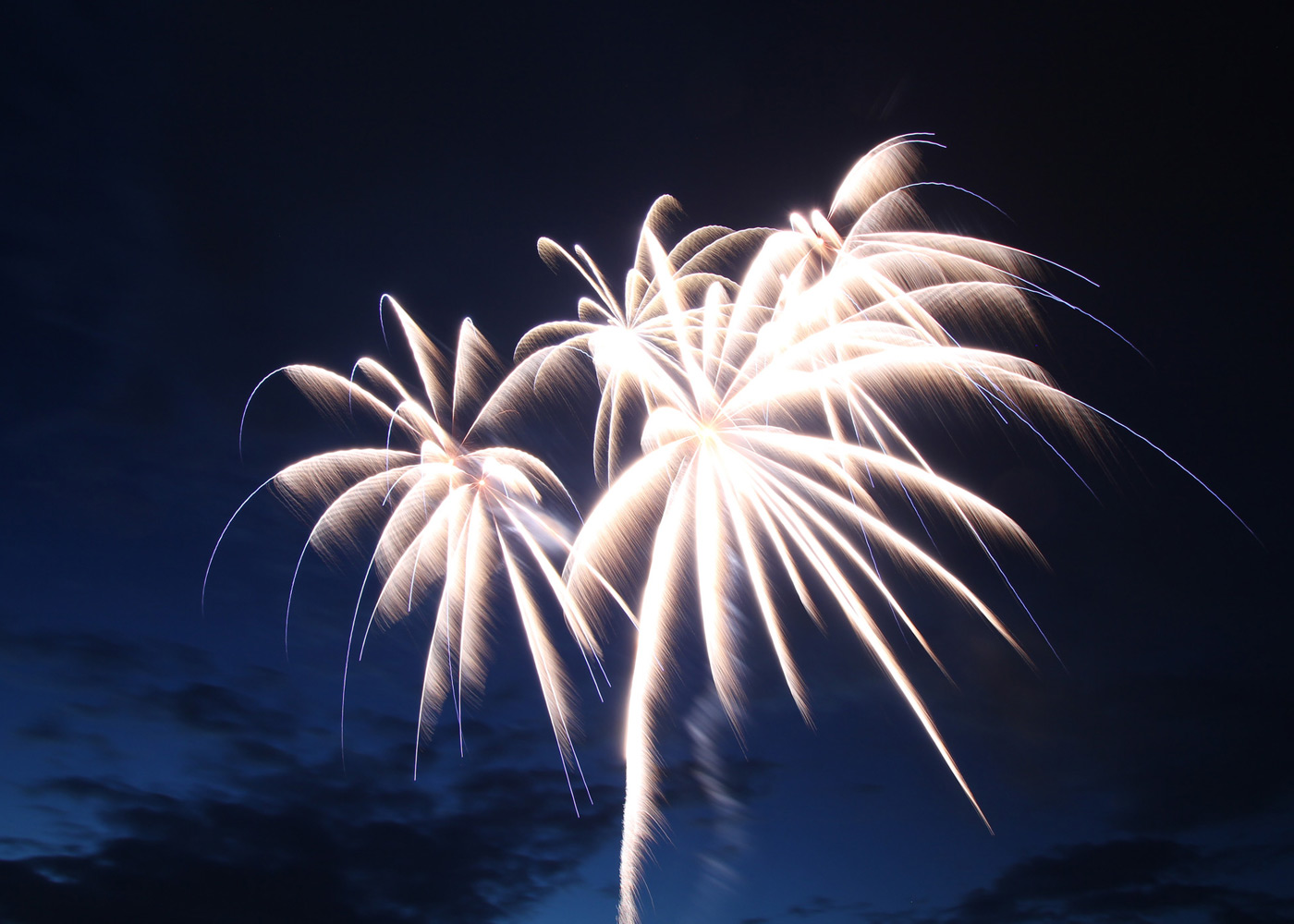 Bildergalerie | Feuerbändiger Feuerwerke